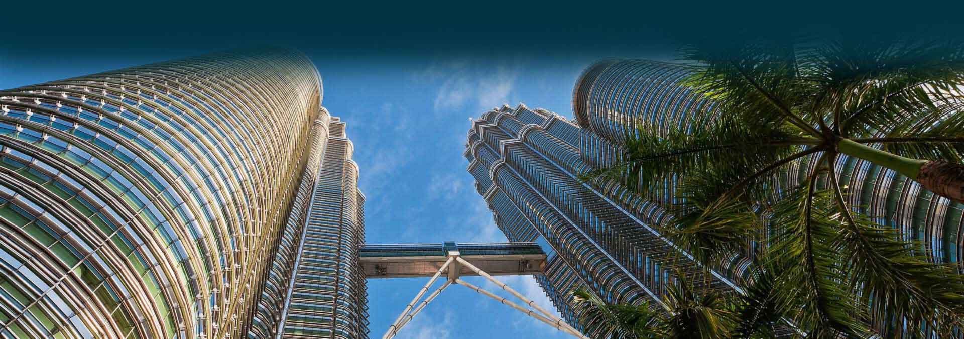 Tampa Window Tinting Film Home Office Car Tint Sarasota Bradenton